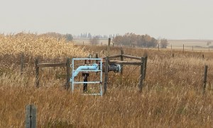 Agricultural Service Boards – 75+ years of promoting sustainable ...
