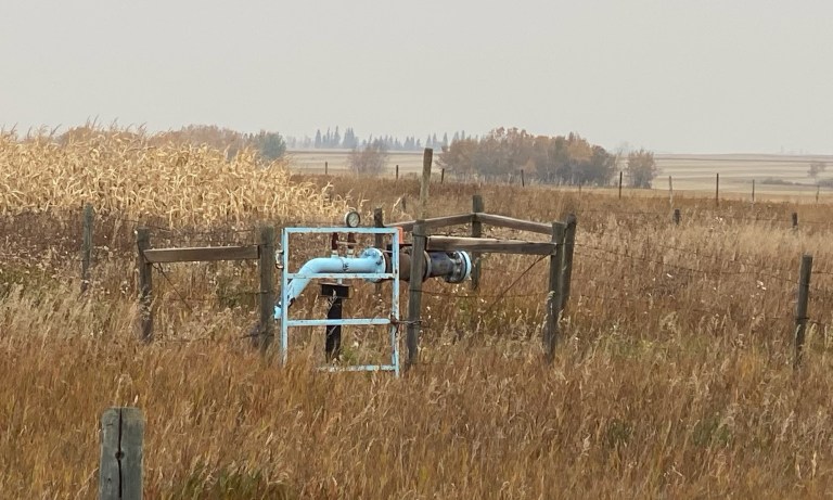 Agricultural Service Boards – 75+ years of promoting sustainable ...
